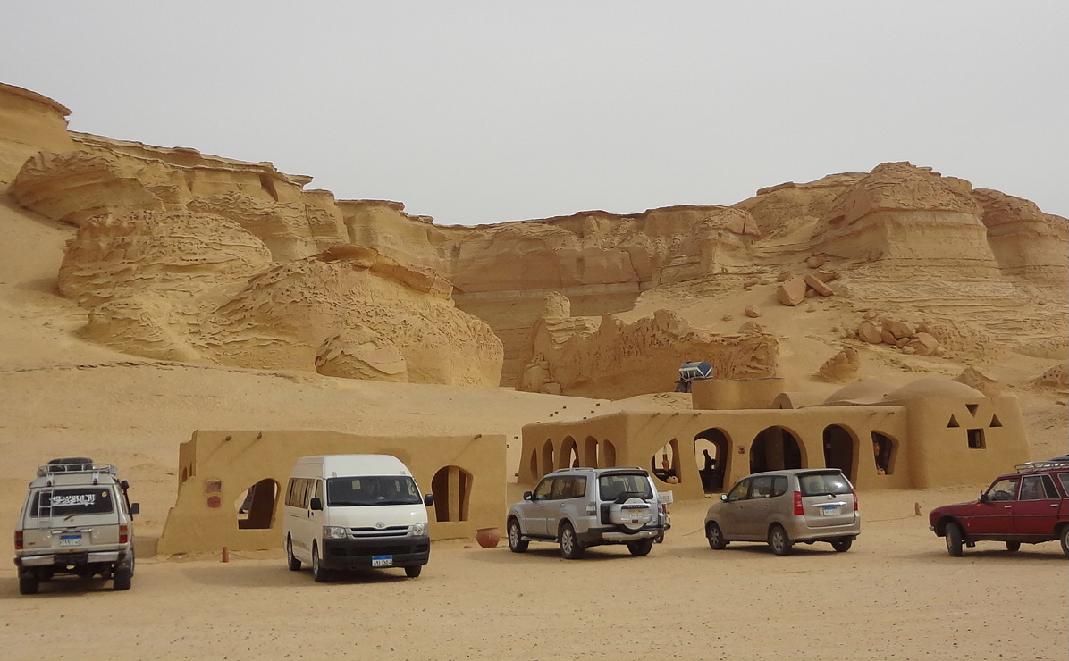 Lugina e balenave, një nga gjetjet më të rëndësishme të fosileve ...