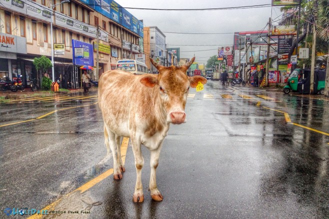 Fakte interesante për shtetet e botës! – Ngjyra.com